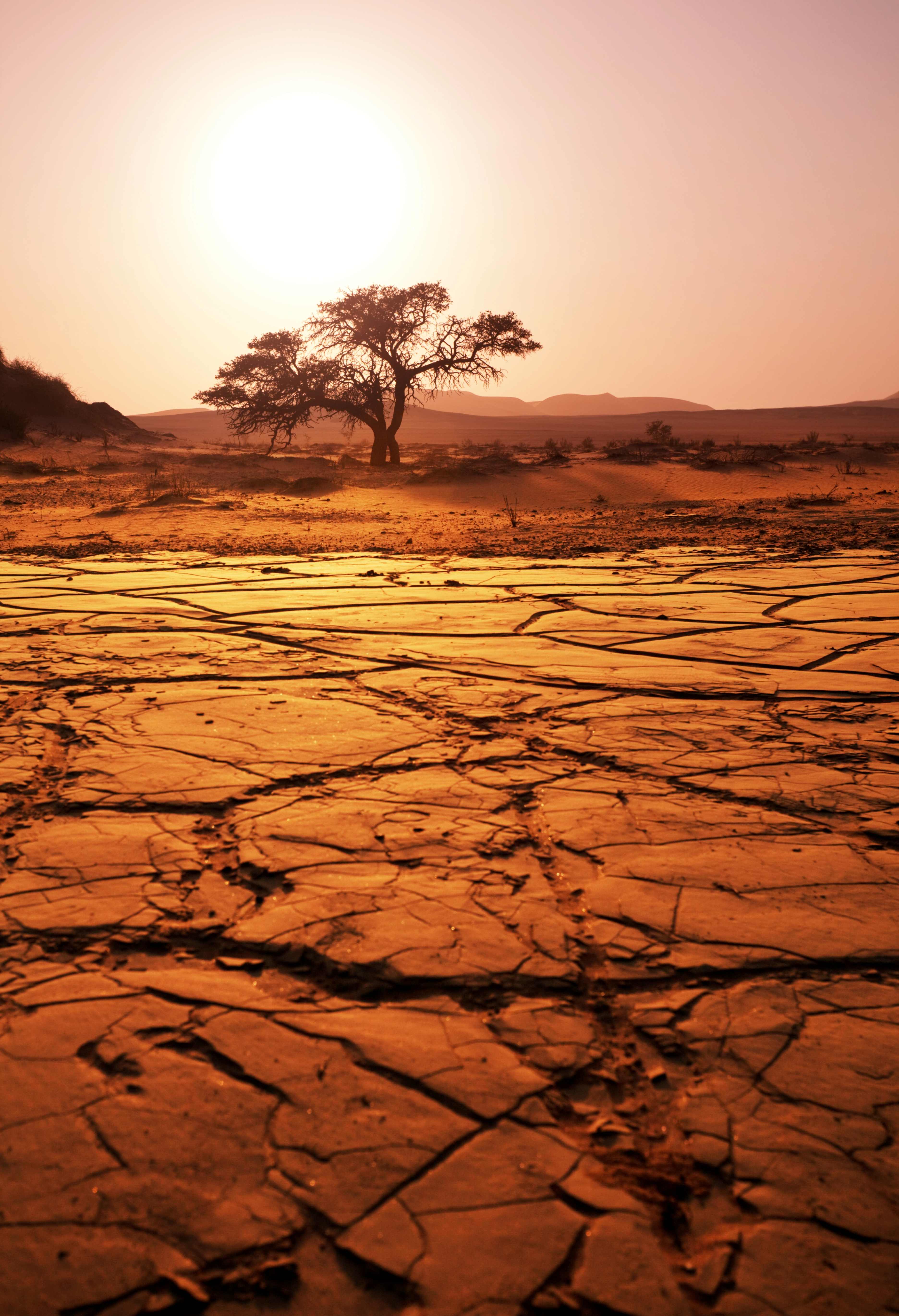 Postpartum Haemorrhage and Rising Heat, why extreme temperatures put ...